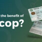 Renew Nadra Card | Nicop Card Renewal | Nicop services UK